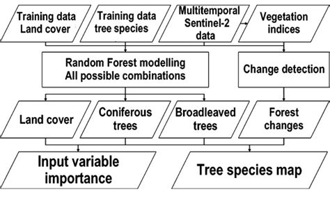 Remote Sensing Free Full Text Optimal Input Features For Tree