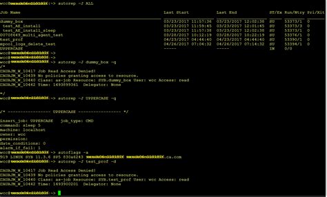 Eem Access Policy Job Name In Uppercase Autosys Workload Automation