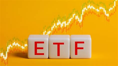 4 Etfs Que Pagam Dividendos Nesta Semana Investidor10