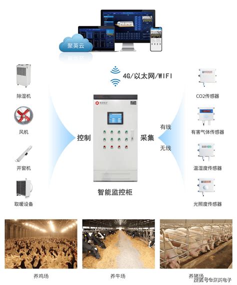 什么是智慧禽畜养殖系统精细化喂养，提升管理效率平台设备控制