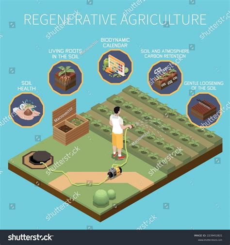 Regenerative Agriculture Isometric Concept Modern Plant Stock Vector