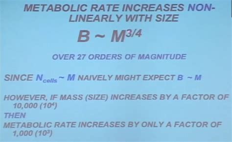 Ecological Sociology Geoffrey West On Scaling Rules