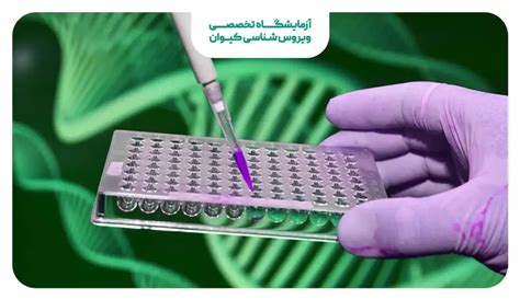 اهمیت و کاربردهای سلول بنیادی مجله سلامت کیوان