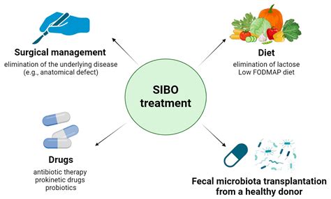 Sibo Relief Without Antibiotics A Friends Guide