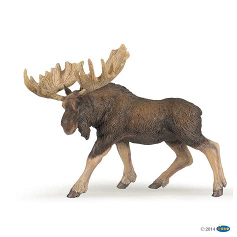 Alce Macho La Extinción