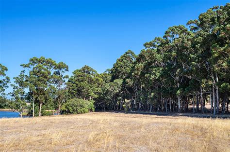 Lot 106 Springfield Farm