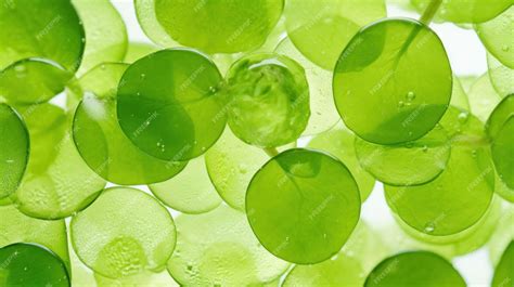 Premium Ai Image A Group Of Green Round Objects