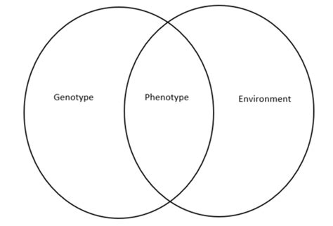 Genotype Vs Phenotype Venn Diagram