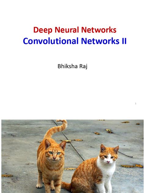 Lec8cnn Pdf Visual Cortex Neuroscience