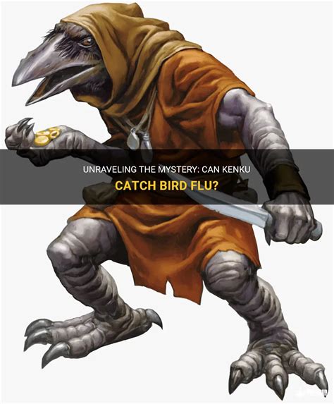 Unraveling The Mystery Can Kenku Catch Bird Flu Medshun