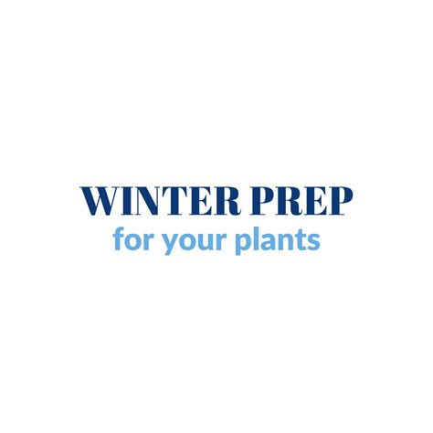 Hinsdale Nurseries Welcome To Hinsdale Nurseries Welcome To