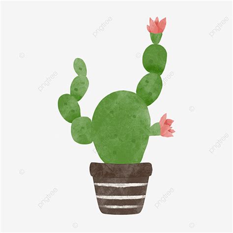 투명 배경에 꽃과 간단한 손으로 그린 수채화 선인장 일러스트 그림 선인장 수채화 수채화 선인장 Png 일러스트 및 Psd