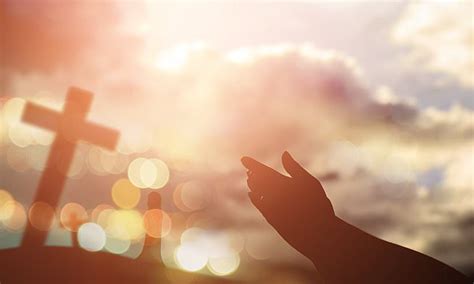 Amanda Platell On Civil Partnerships Daily Mail Online