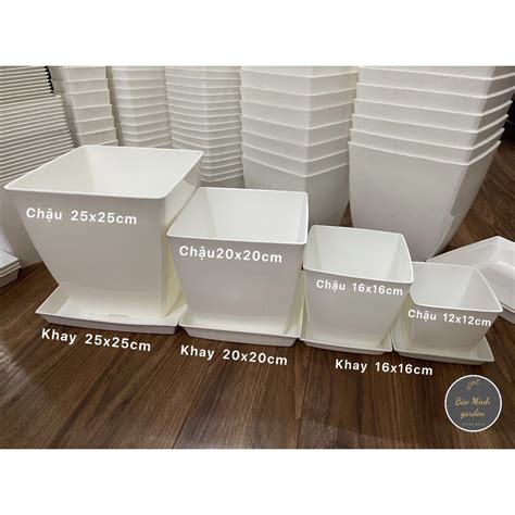 Chậu Nhựa Vuông 20 X 20cm Trồng Hoa Cây Cảnh Văn Phòng Hàng Cao Cấp Của