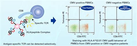 Mhc Tetramers Clinisciences