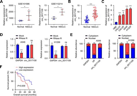 Circ0017109 Is Upregulated In Nsclc And Associated With Poor Prognosis