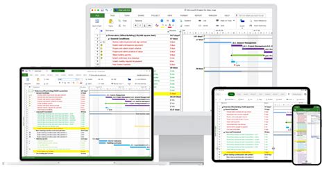 Free Viewer For Microsoft Project Project Plan