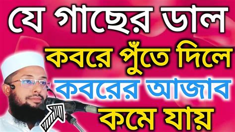 যে গাছের ডাল কবরে পুঁতে দিলে কবরের আজাব কমে যায় কবরের আজাব কমানোর