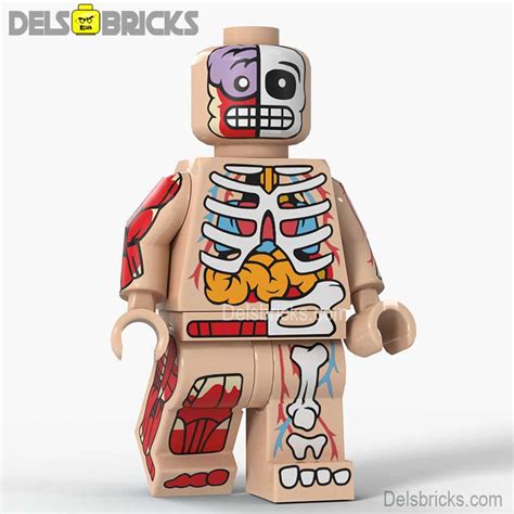 Human Body Skin Anatomy Custom Building Blocks Mini Figures Compat