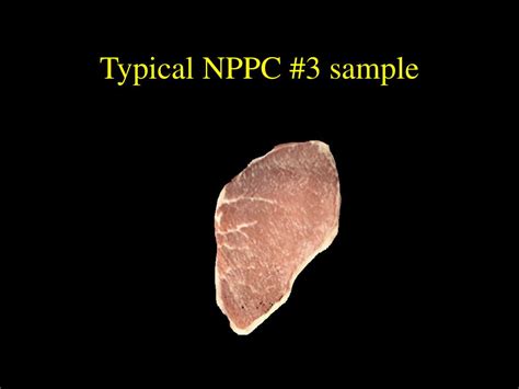 Ppt Pork Carcass Value Determining Traits Powerpoint Presentation