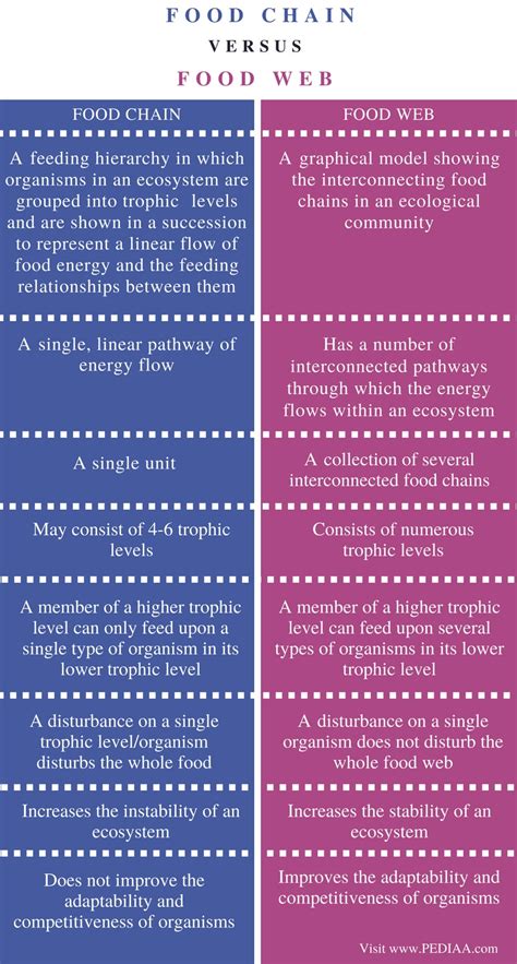 Difference Between Food Chain And Food Web Pediaa