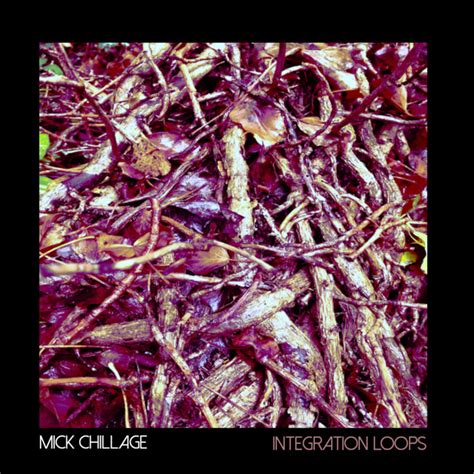 integration loops mick chillage
