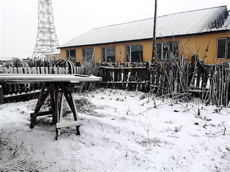 黑龙江漠河迎今秋首场降雪
