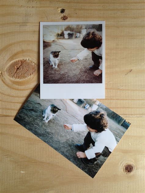 Transforma Tus Fotos En Fotos Con Un Look Polaroid Polaroid