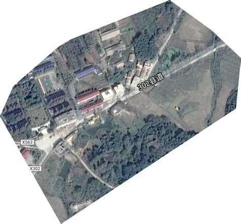 分宜县芳山林场高清卫星地图