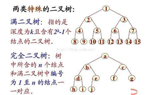 完全二叉树与满二叉树的区别有图满二叉树和完全二叉树的区别图解 Csdn博客