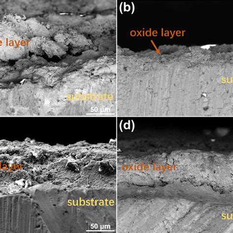 Surface Morphologies Of The Oxide Layers Formed On Different Anodes