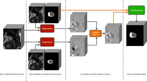 Semi Supervised Cardiac Image Segmentation Via Label Propagation And Style Transfer