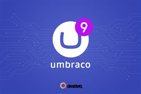 Umbraco 9 From Net Framework To Net Core Awave