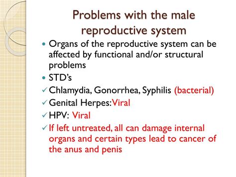 Ppt The Male Reproductive System Powerpoint Presentation Free Download Id