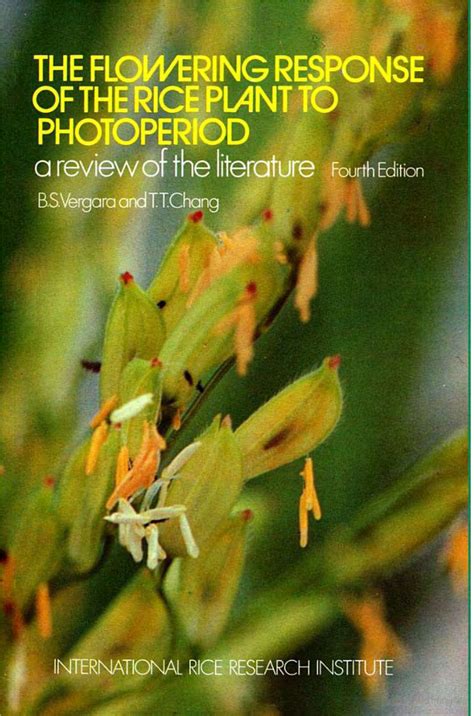 The Flowering Response Of The Rice Plant To Photoperiod A Review Of