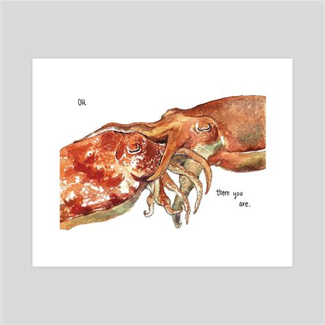 Cuttlefish Cuddle An Art Print By Megan Kott Inprnt