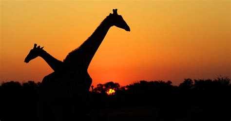 Year In Review 2018 Highlights From The Uber Engineering Blog Uber Blog