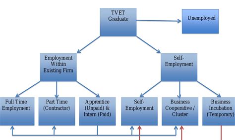 The Tvet Graduate Pathways Chart Illustrates The Possible