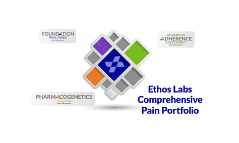 Insights Ethos Labs