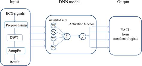 flowchart depicting the proposed deep neural network model dwt