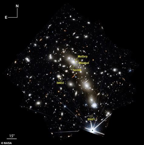 Cosmic Christmas Tree NASA S James Webb Space Telescope Snaps A