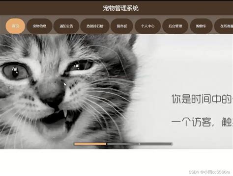 Pythonvue宠物用品商城网站系统3zy71