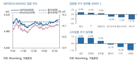 미 증시 정상회담 실망감 Vs 유가 금리 하락 등으로 혼조세