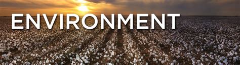 Environment Header American And Efird
