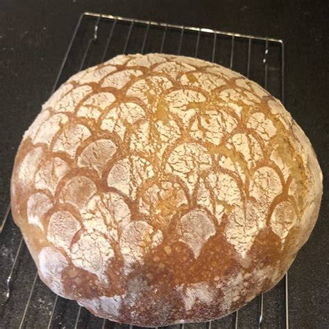 Flower Bud Stencil Bundle 4pc Stencils Flower Buds Rose Sunflower