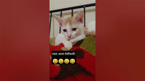 नखपालीस ओठाला🤣दोन किलो दागिने तुळशी बागेतुन आणले😀😀 ऍटॅक येईल हसुन