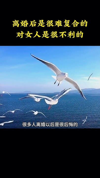 不到万不得已不要轻易离婚 曾仕强教授 国学文化 婚姻 人生智慧 认知 Youtube