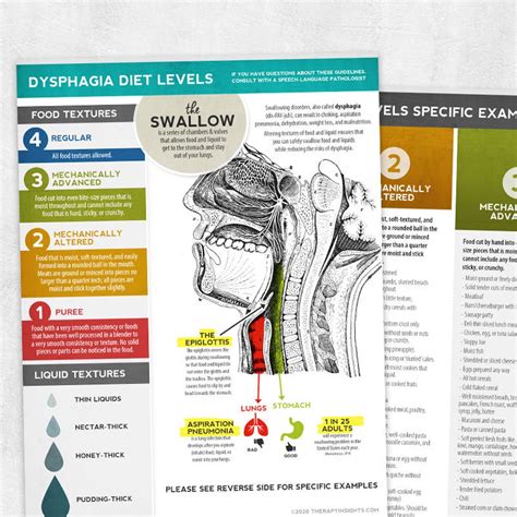 Printable Resource Dysphagia Diet Textures Etsy
