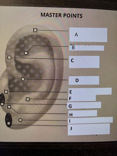 Ear Master Points Flashcards Quizlet