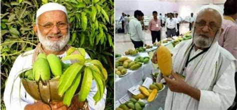 दुनिया का इकलौता पेड़ जिसमें लगते हैं 300 किस्म के आम